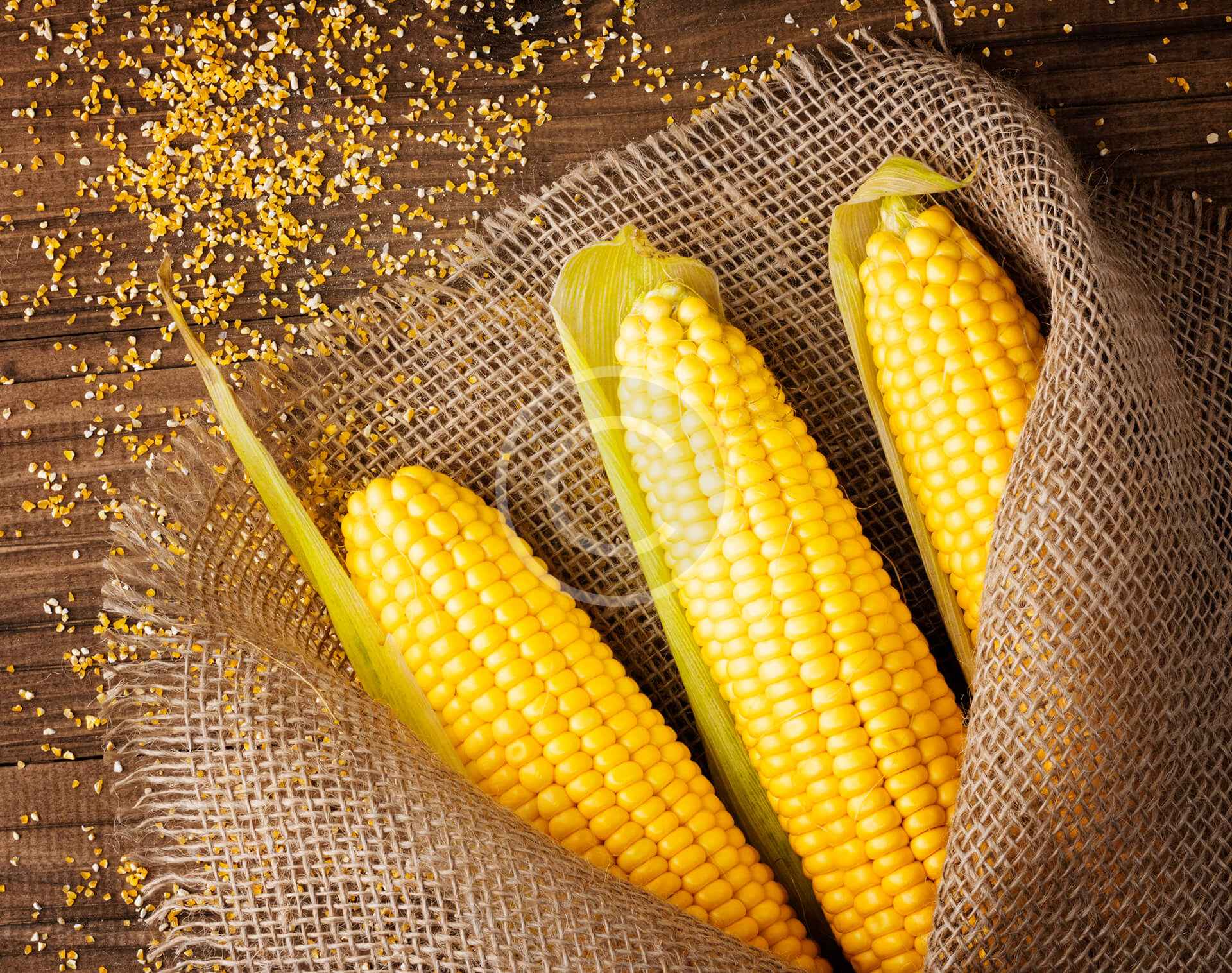 Fresh corn – Berry Oasis